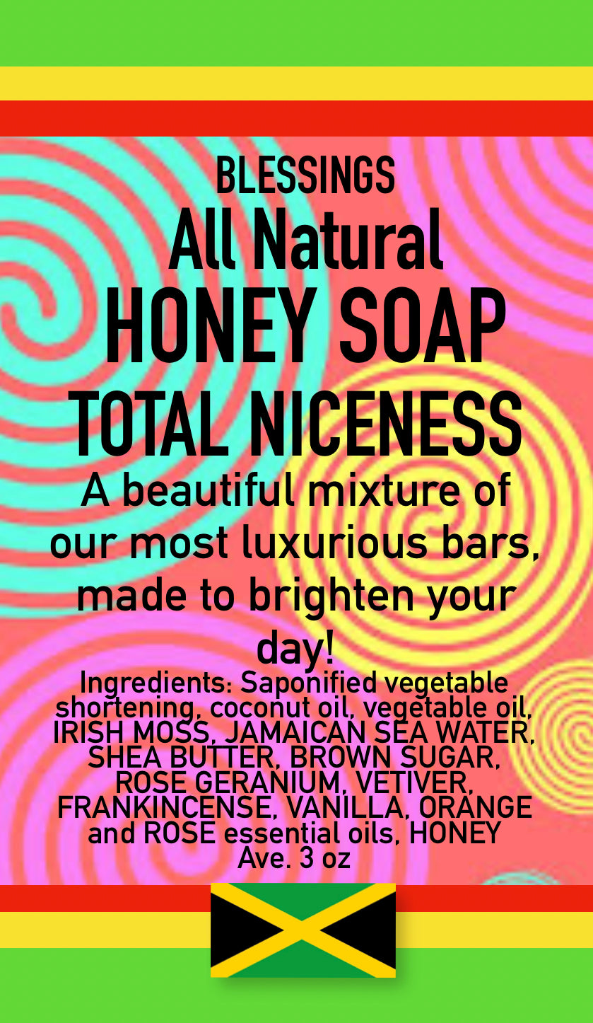 Total Niceness All in One Mixed Soap – Blessings All Natural (Jamaica ...